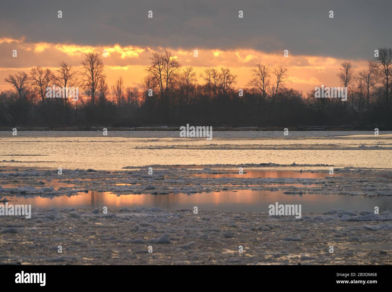River Ice Sunrise. Ice flowing down the Fraser River in winter ...