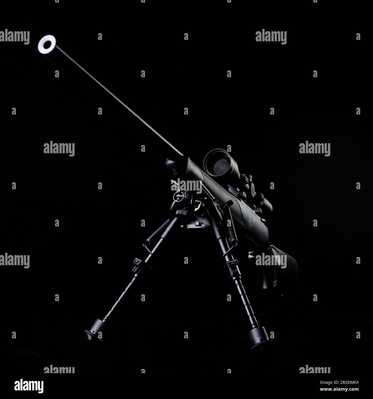 Sauer rifle hi-res stock photography and images - Alamy