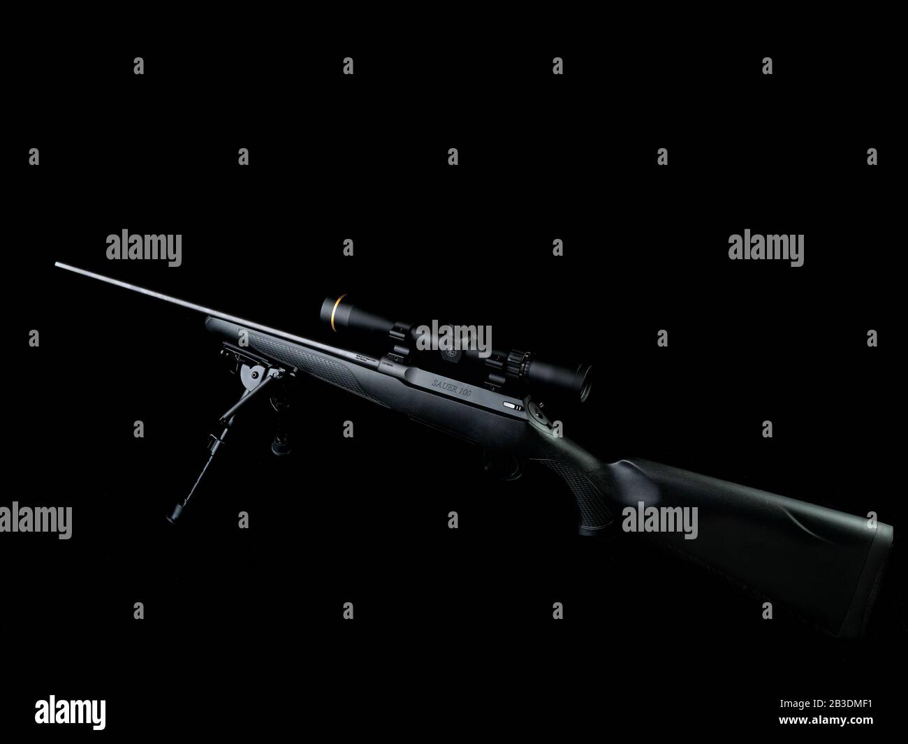 Sauer rifle hi-res stock photography and images - Alamy