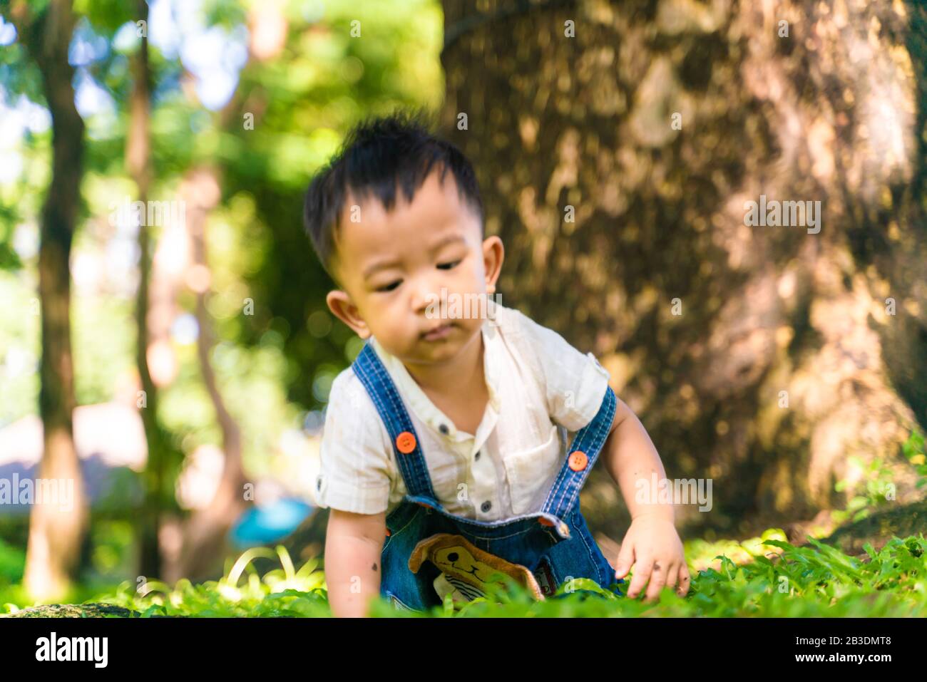 Adorable 10 month baby boy crawling on green grass in city park under ...