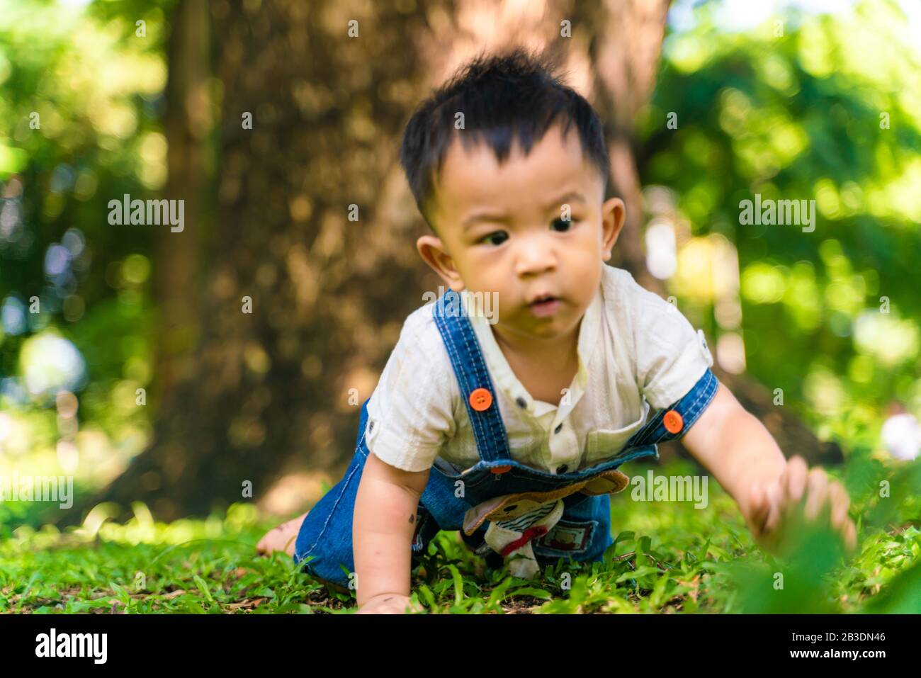 Crawling under tree hi-res stock photography and images - Alamy