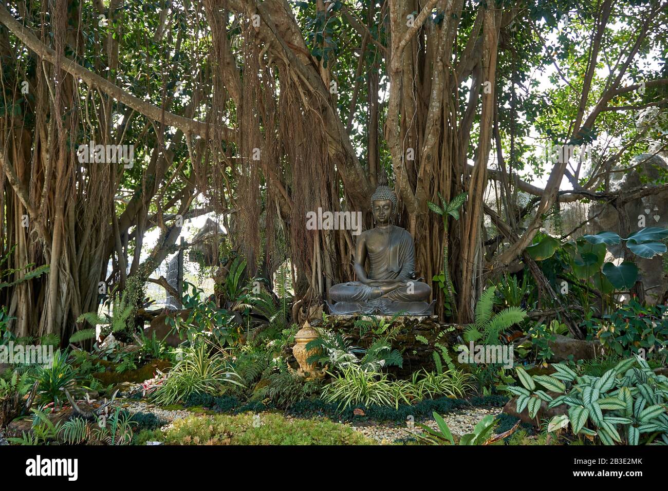 Buddha statue under bodhi tree hi-res stock photography and images - Alamy