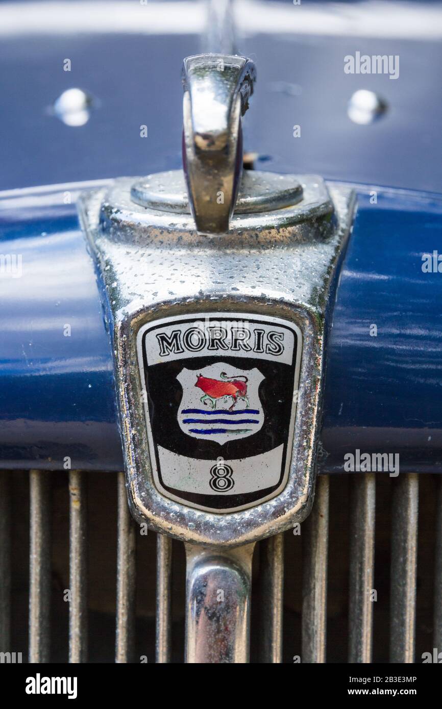 Shiny vintage chrome metal Morris 8 car badge with enamelled logo ...
