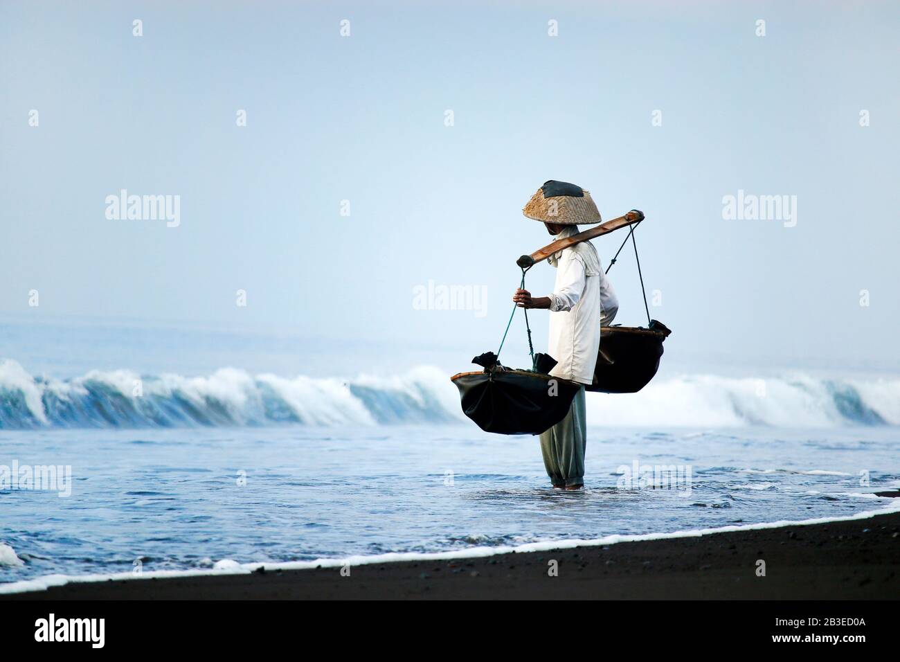 Farmer collecting water in the sea, to salt field for evaporation ...