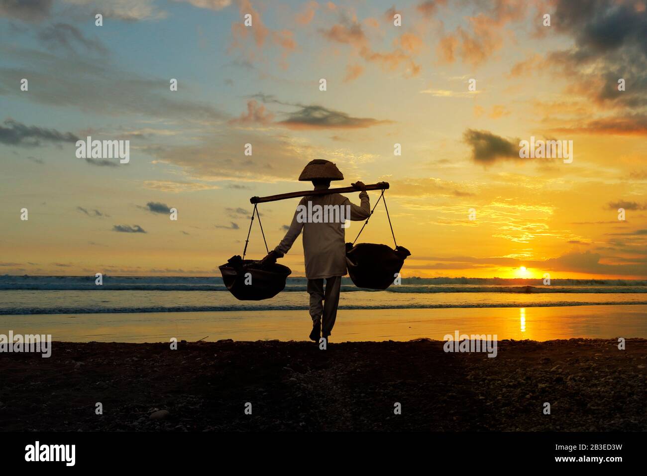 Farmer collecting water in the sea, to salt field for evaporation ...