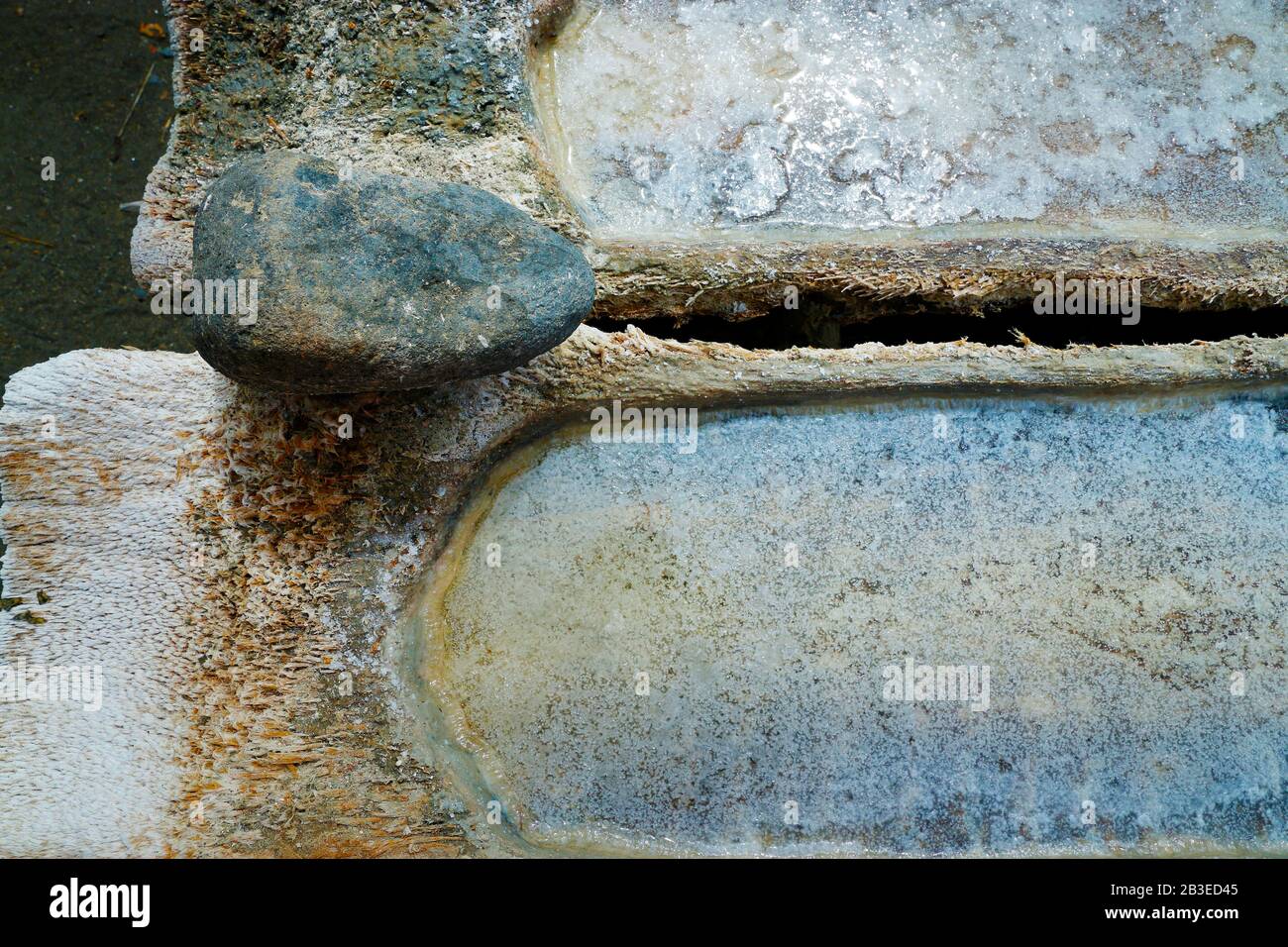 Farmer collecting water in the sea, to salt field for evaporation ...