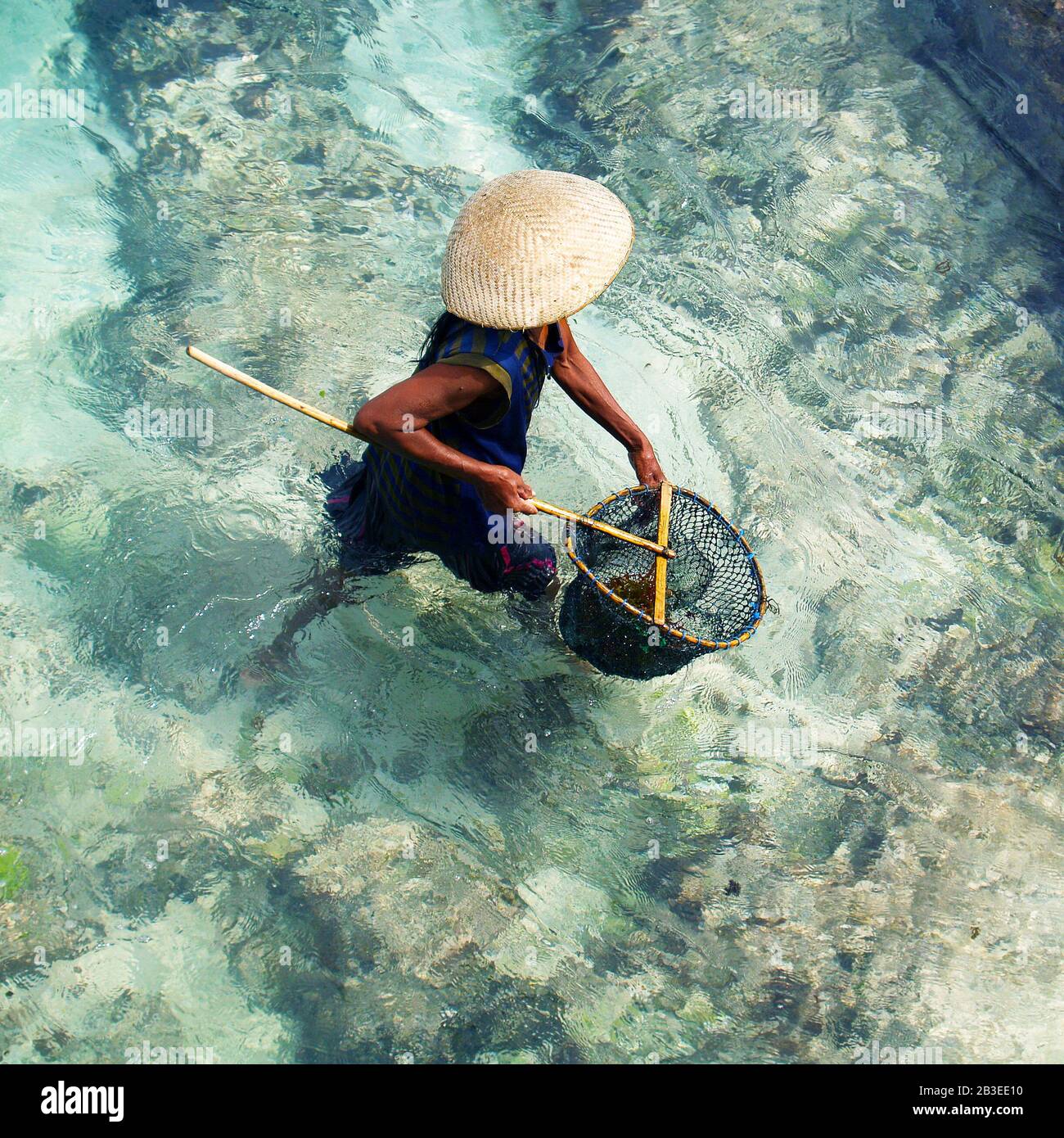 farmer harvesting sea weed in the sea with landing net Stock Photo - Alamy