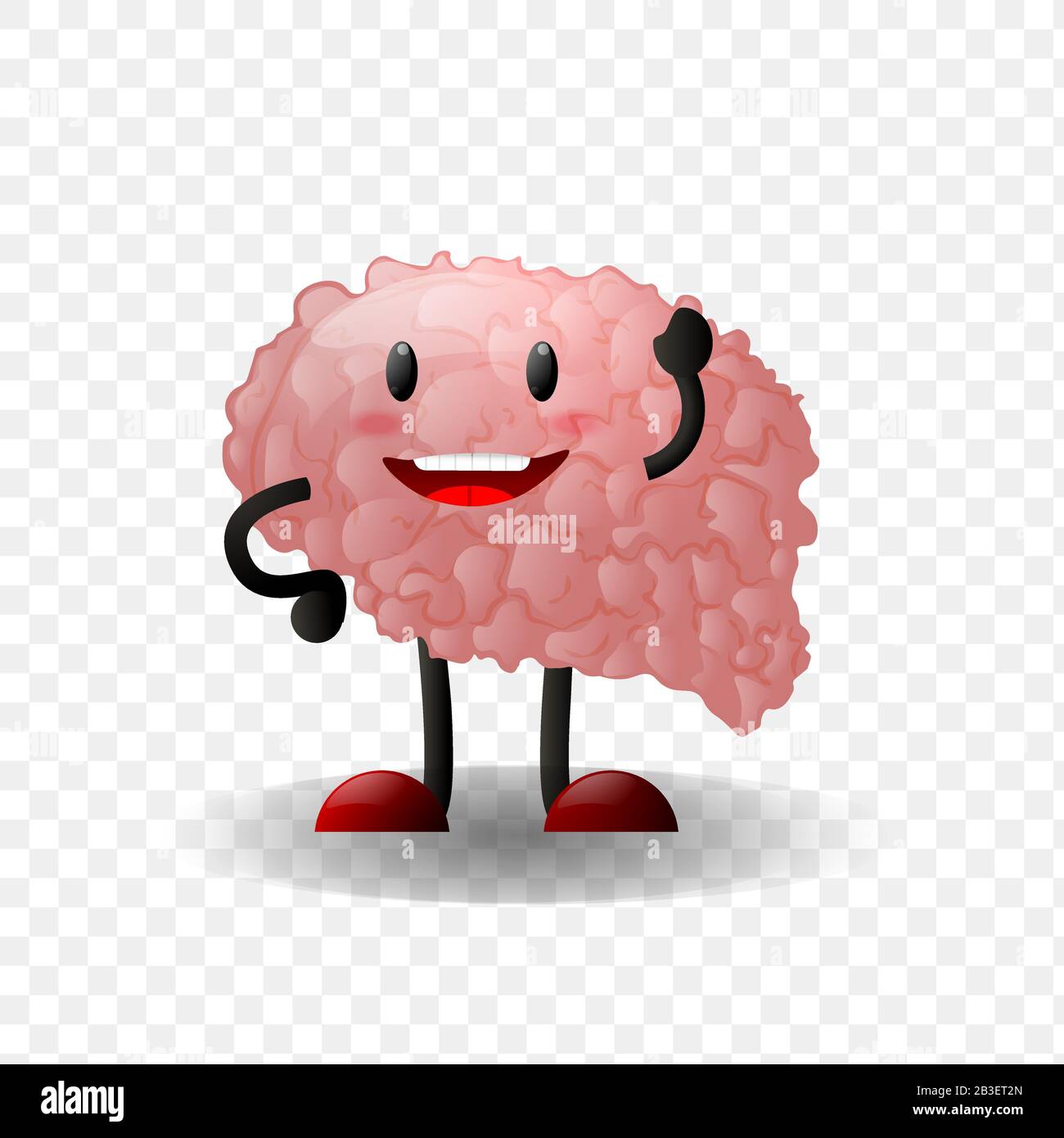 Realistic human brain anatomy Stock Vector Images - Alamy