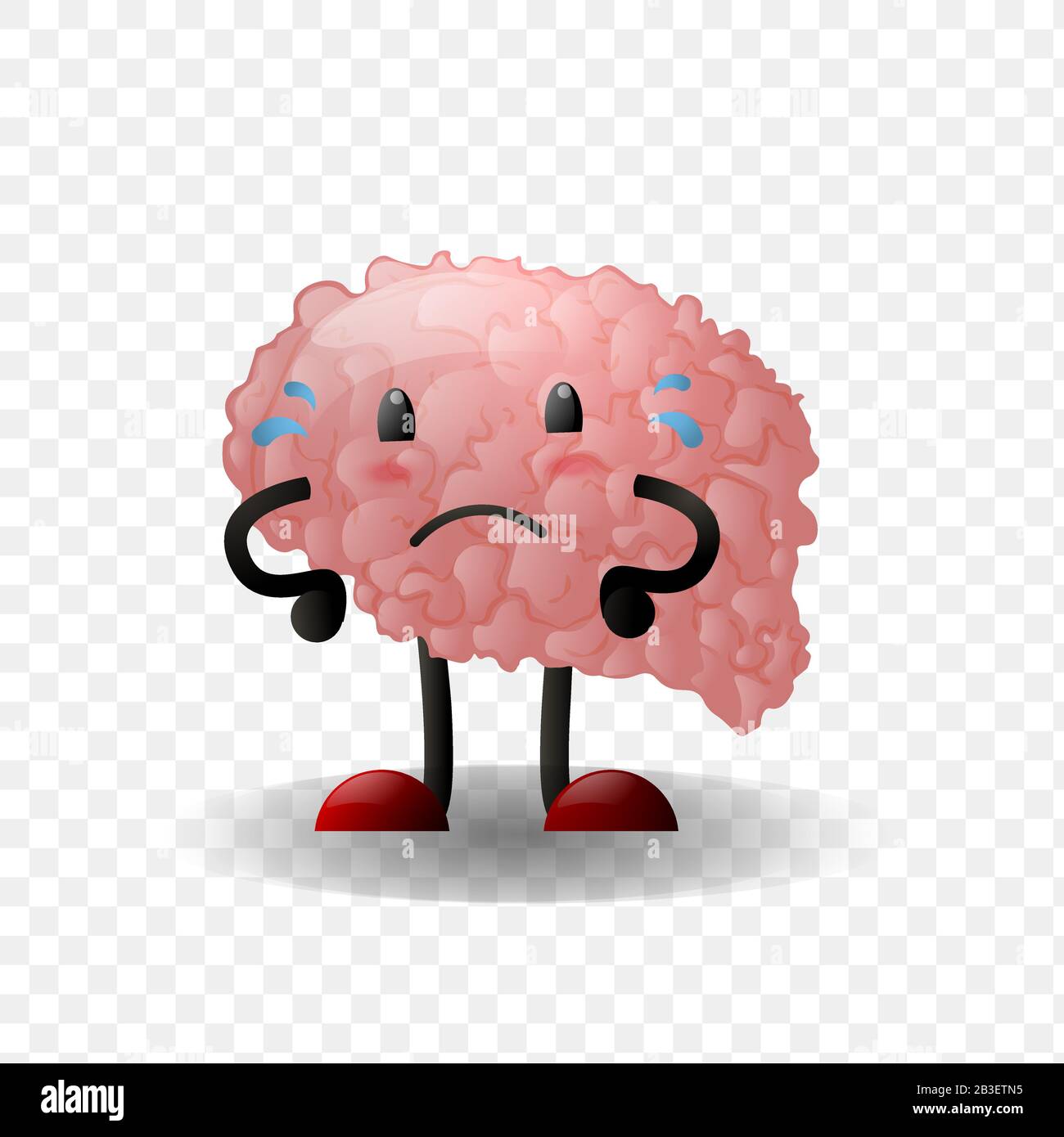 Realistic human brain anatomy Stock Vector Images - Alamy