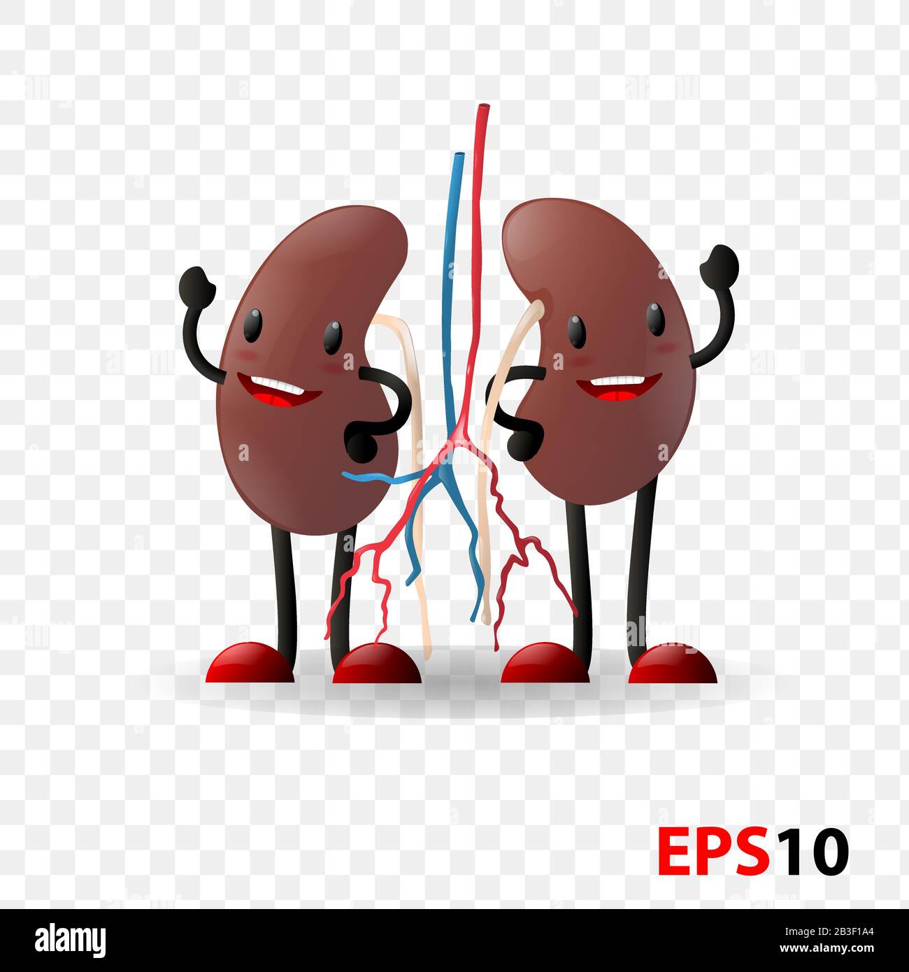 Stones in kidney Stock Vector Images - Alamy