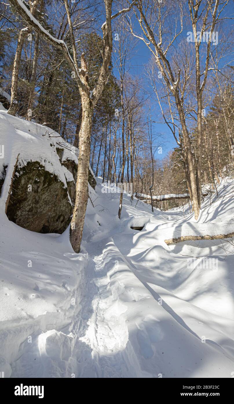Landscape through the snow covered gully on BatLake trail in Algonquin ...