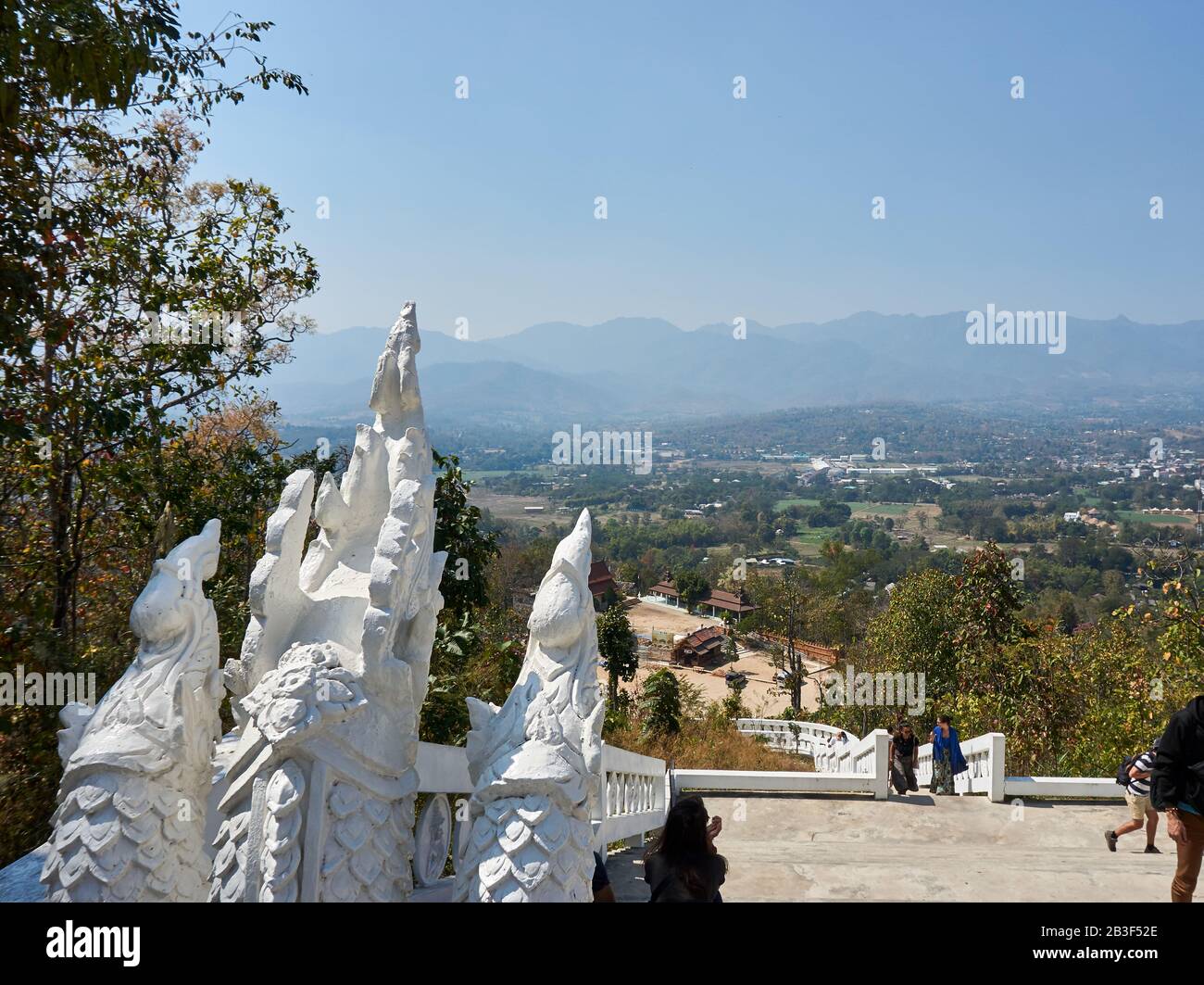 Green ricefield hi-res stock photography and images - Alamy