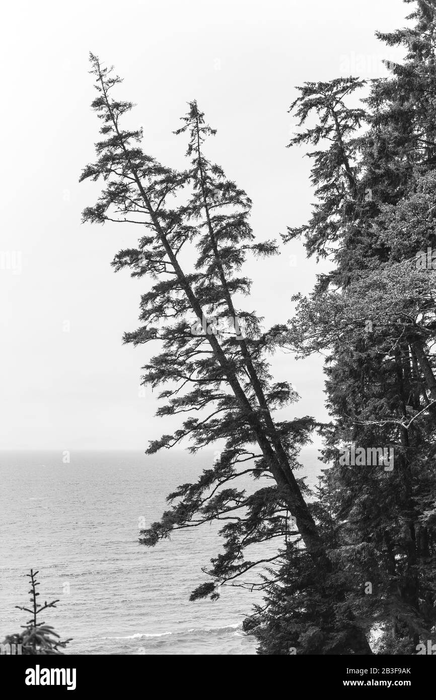 Juan De Fuca Stock Photo - Alamy