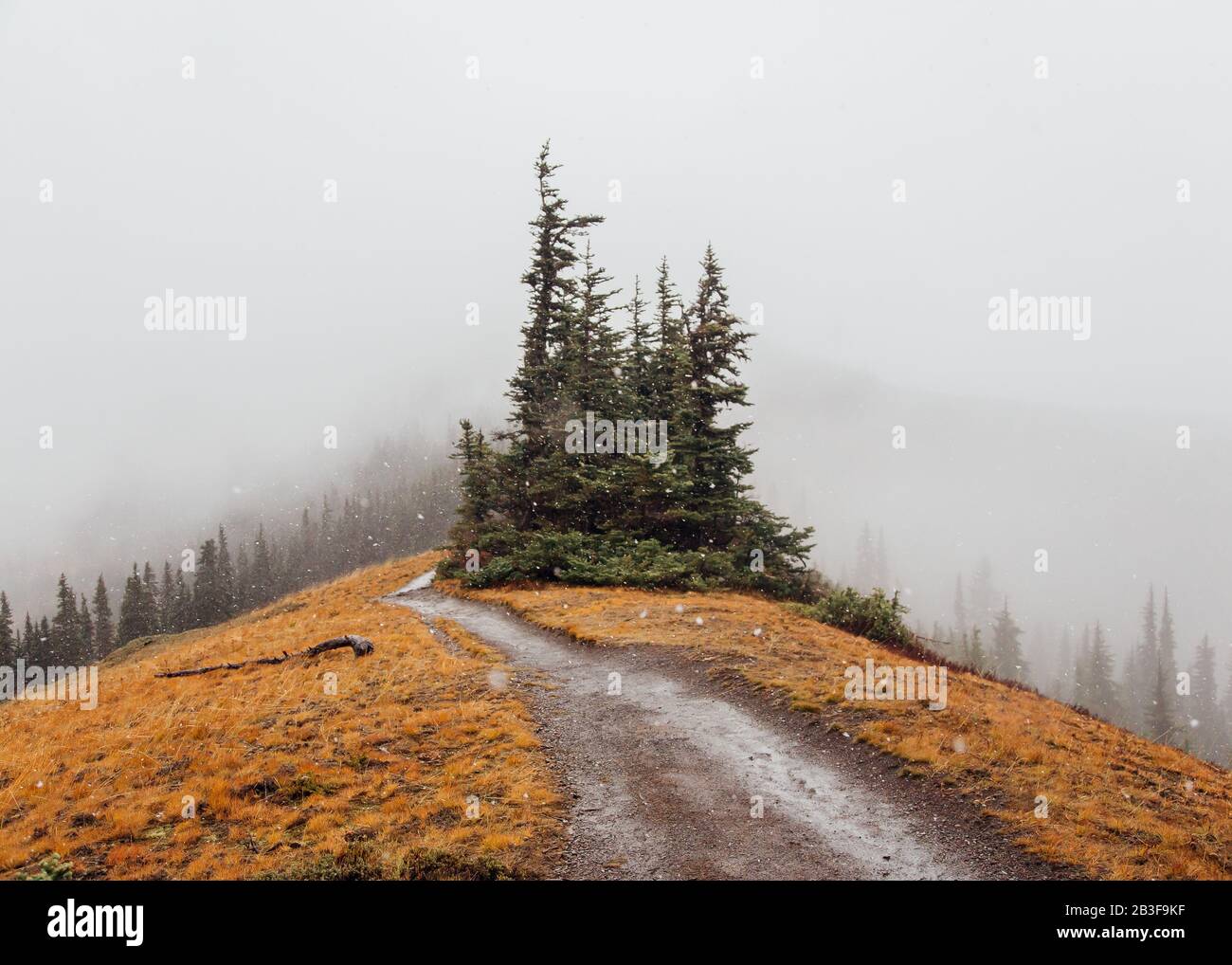 Olympic summit hi-res stock photography and images - Alamy
