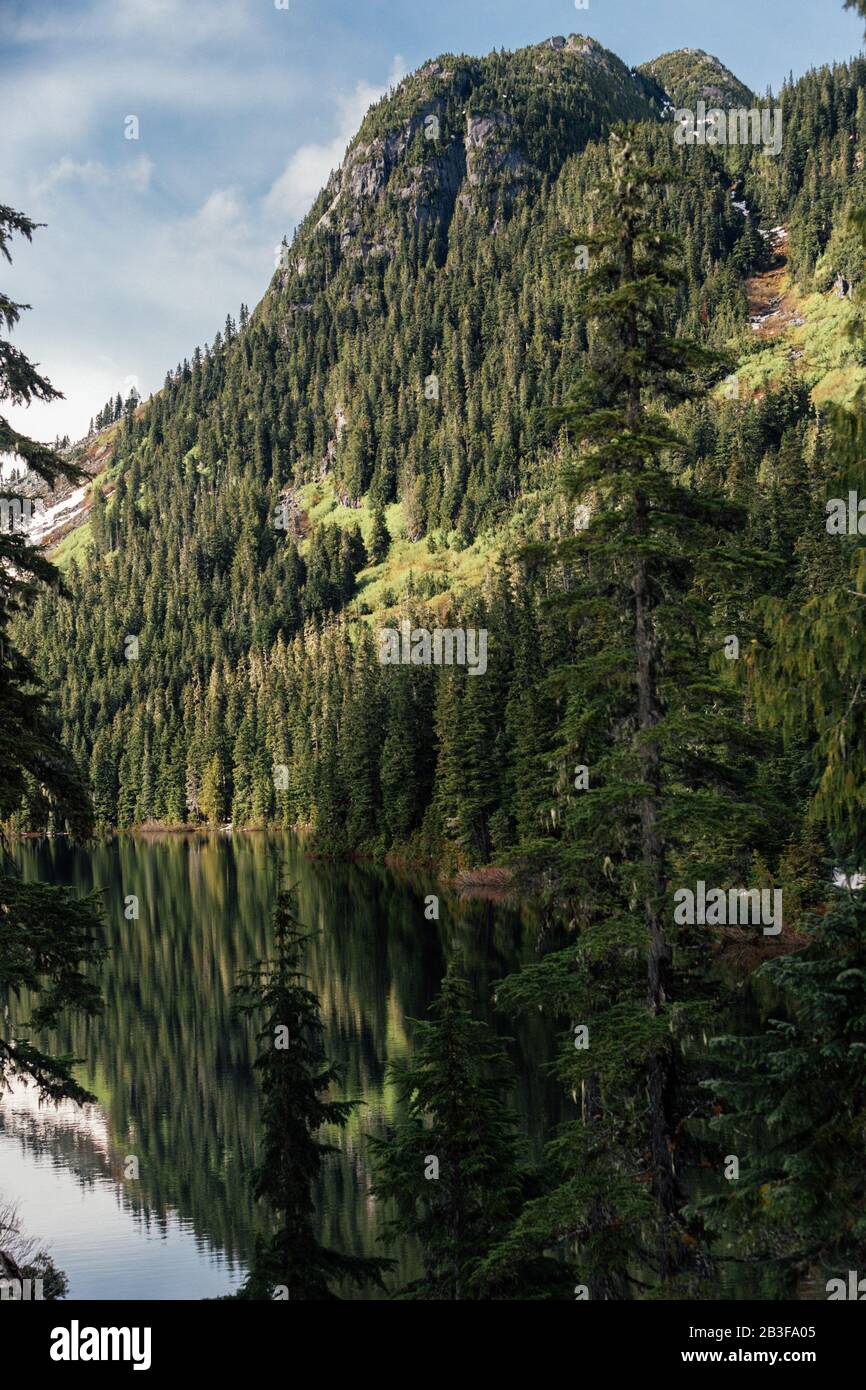 Olympic National Park Fall Stock Photo - Alamy