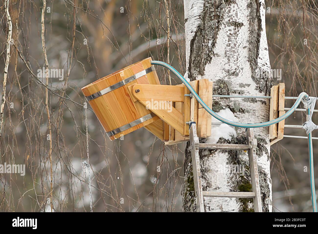wooden antique bucket for watering, pouring cold water, attached to a ...
