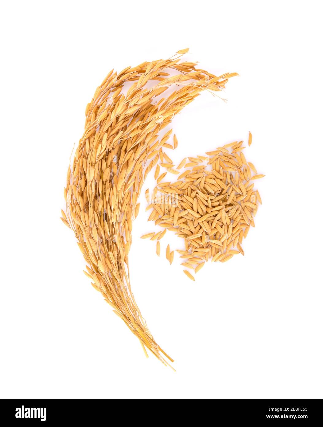 Golden rice isolated on white background, top view Stock Photo - Alamy