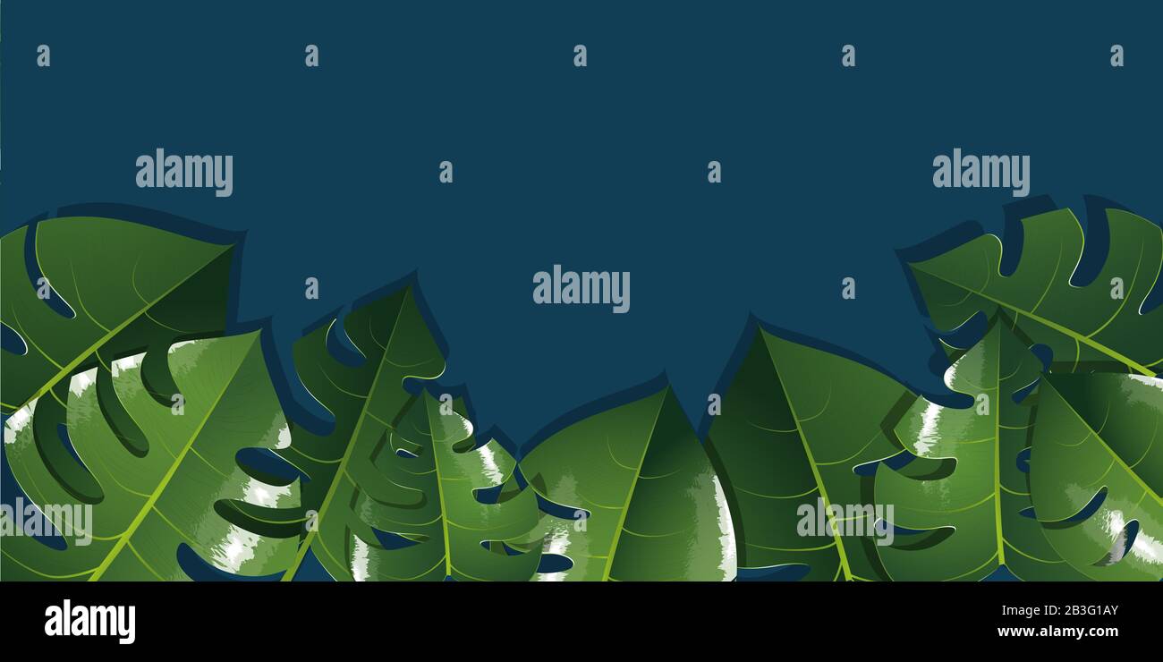 Monstera deliciosa green leaves illustration large banner Stock Photo ...