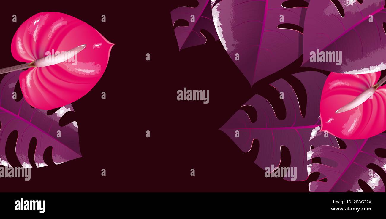 Monstera deliciosa purple leaves illustration large banner Stock Photo ...