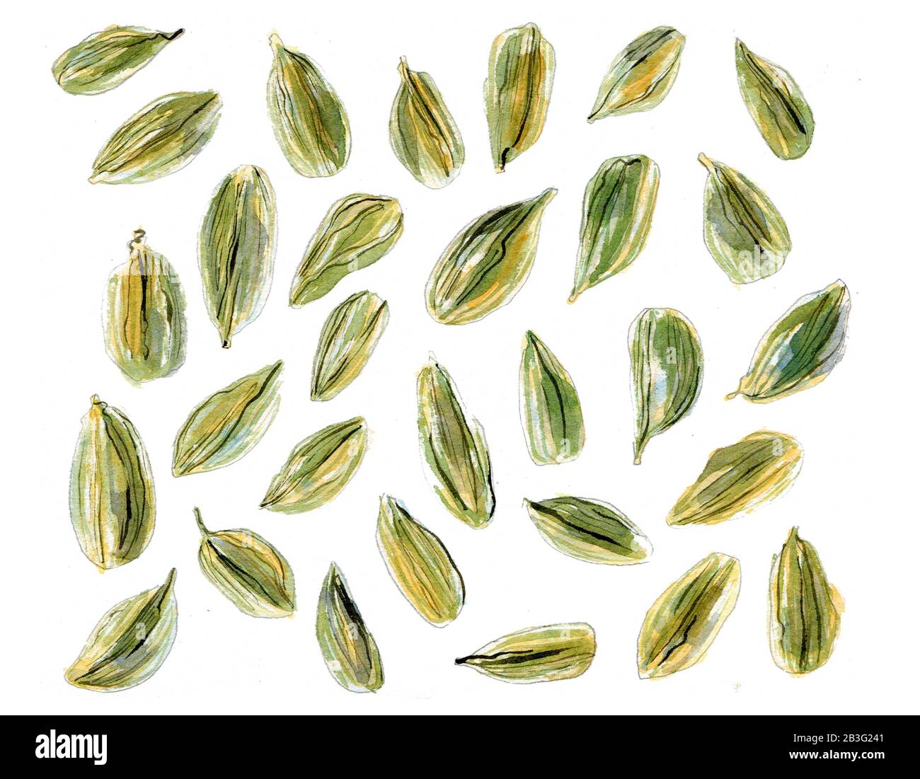 Green backgrounds large groups of objects tables Cut Out Stock Images ...