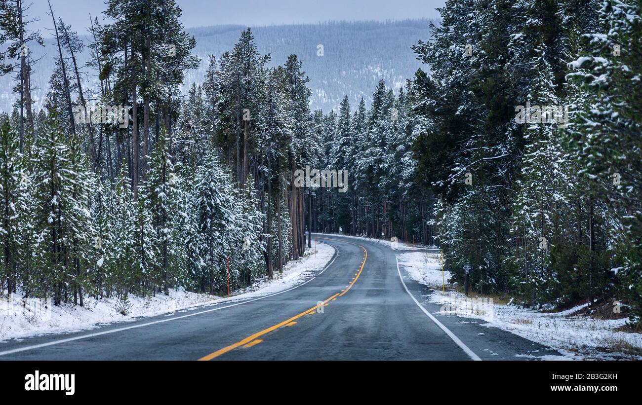 Yellowstone Road High Resolution Stock Photography and Images - Alamy