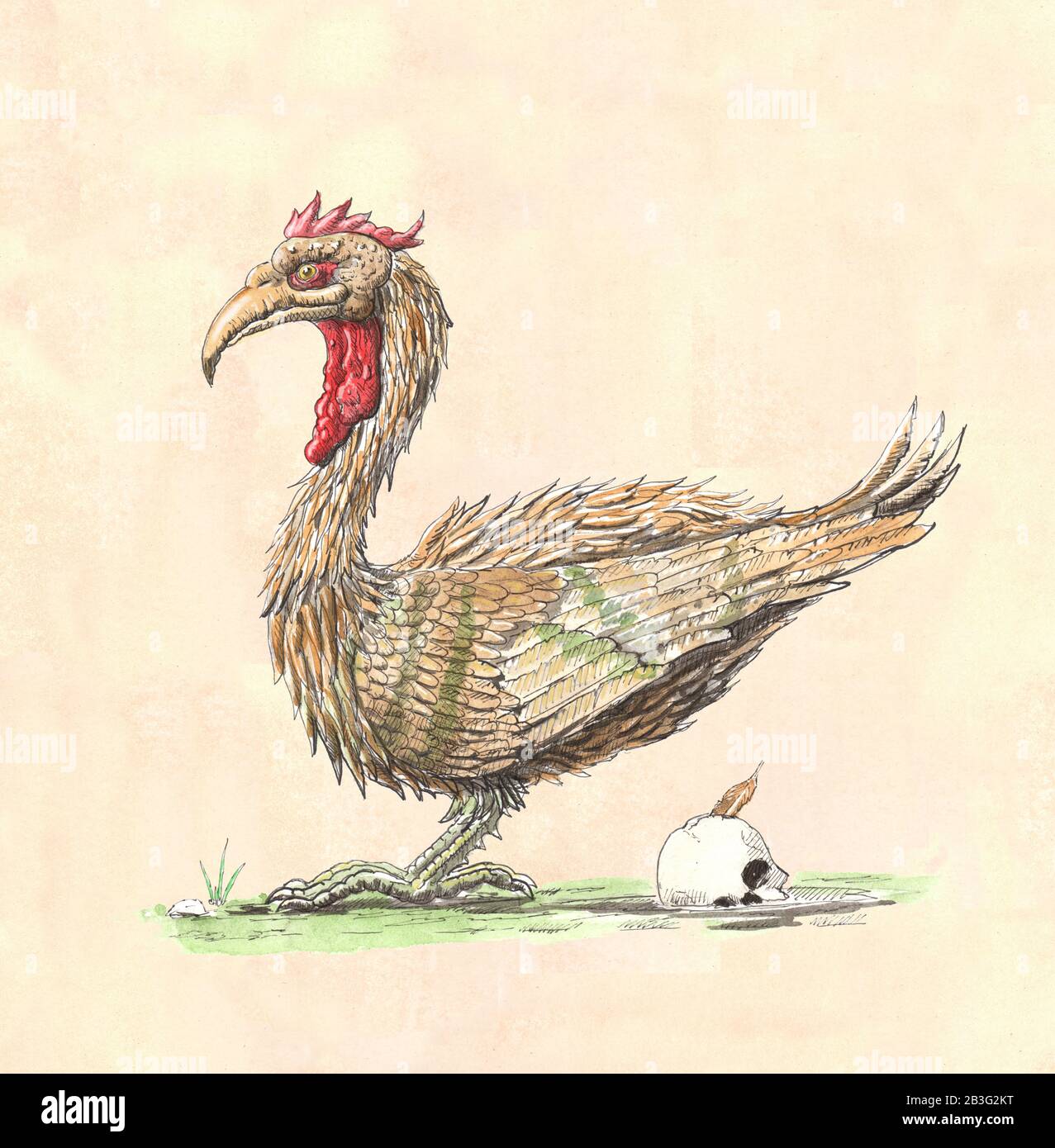 Human backgrounds hi-res stock photography and images - Alamy