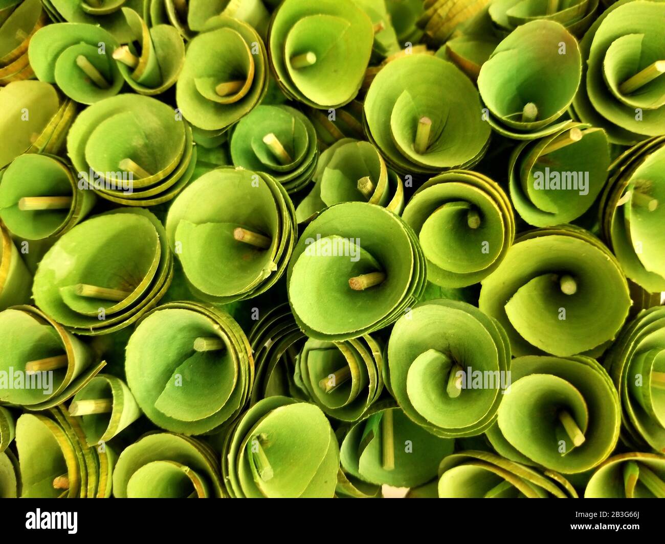 Leafy fun hi-res stock photography and images - Alamy