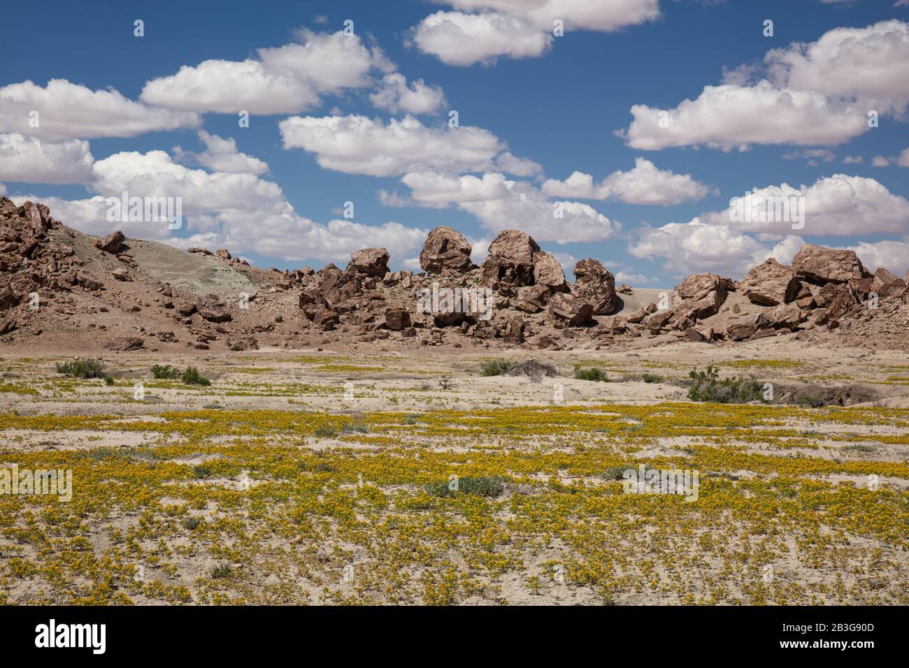 South hook hi-res stock photography and images - Alamy