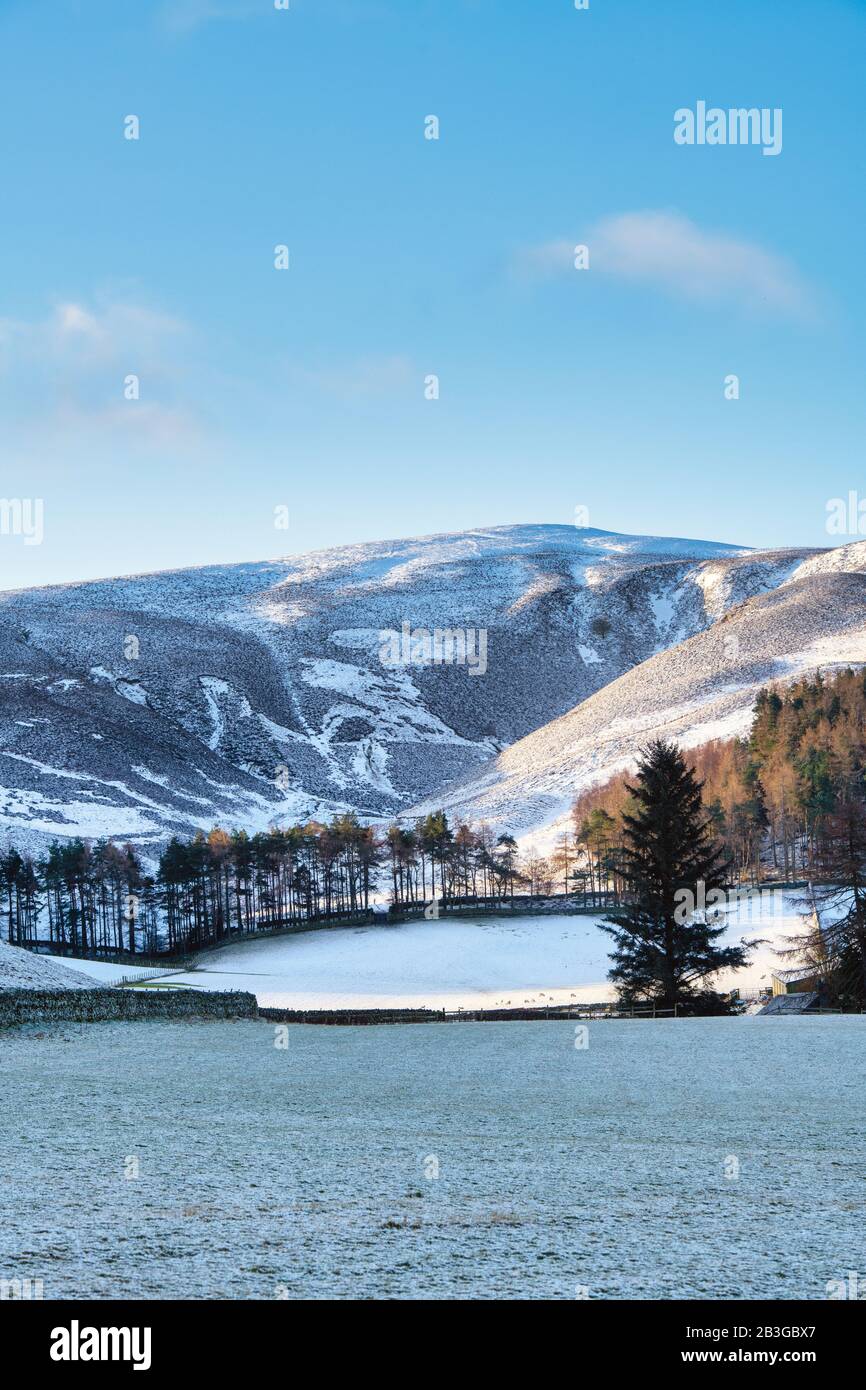 Snow covered countryside in the Tweed Valley by Drumelzier. Scottish ...