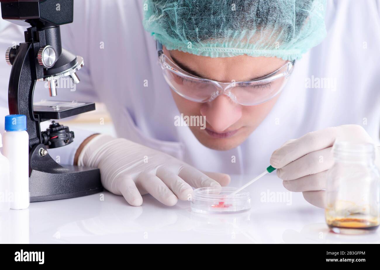 The blood testing in the lab with young scientist Stock Photo - Alamy
