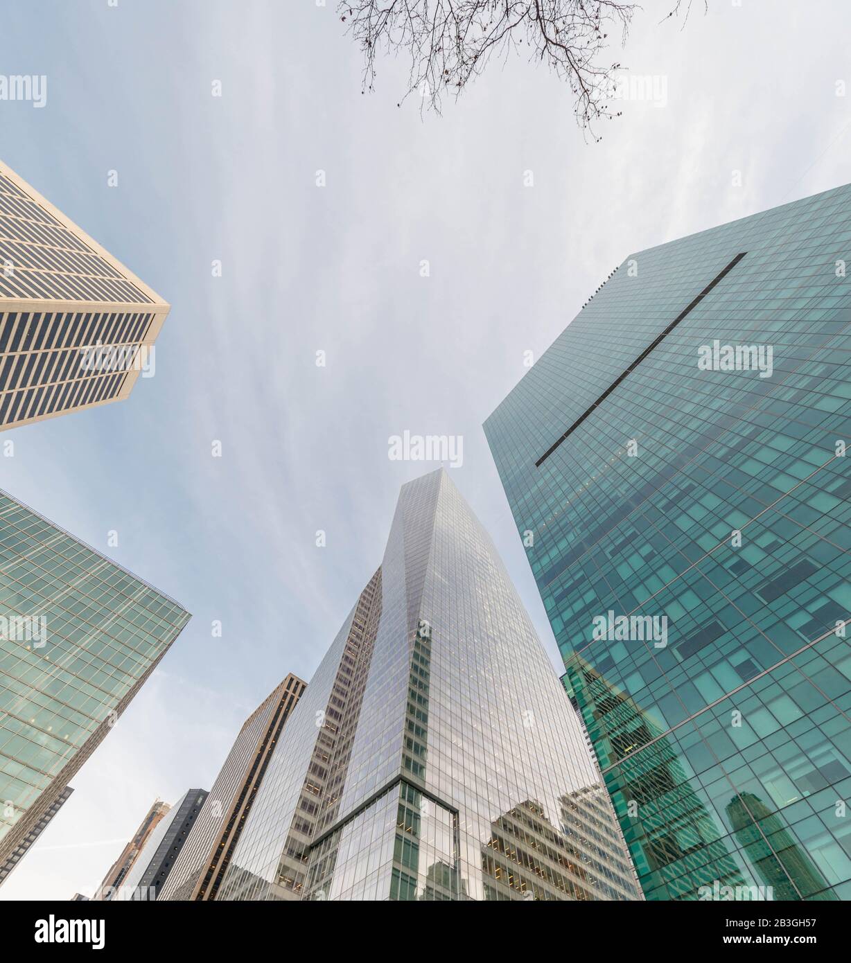 The new york skyscrapers vew from street level Stock Photo - Alamy