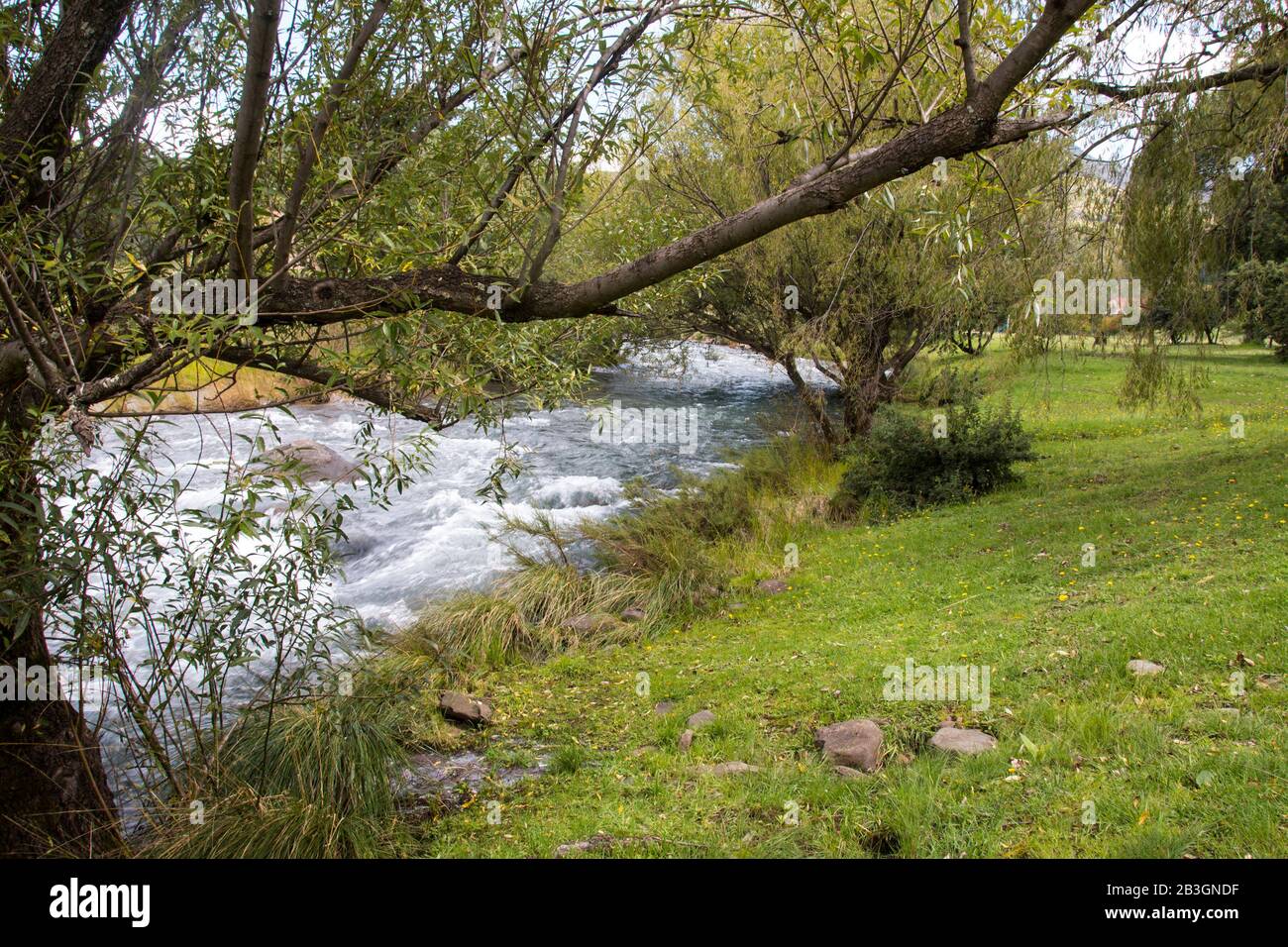 Fast flowing river bordered by natural vegetation and grass after ...