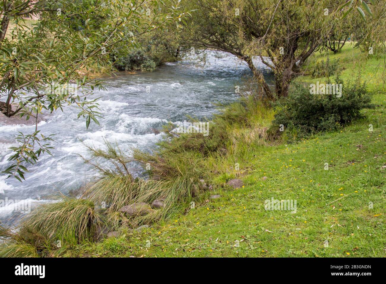Fast flowing river bordered by natural vegetation and grass Stock Photo ...