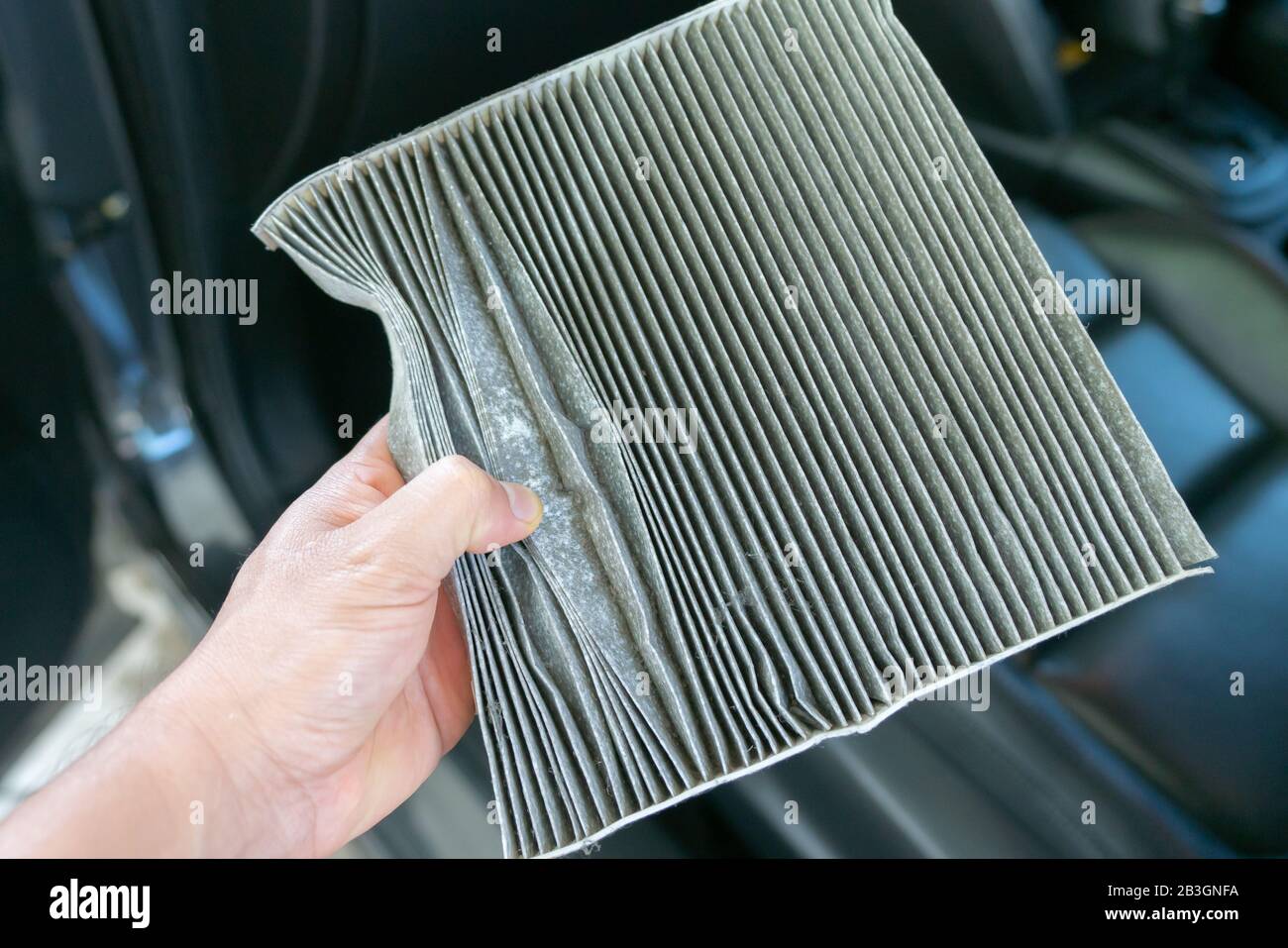 Hand conditioning hi-res stock photography and images - Alamy