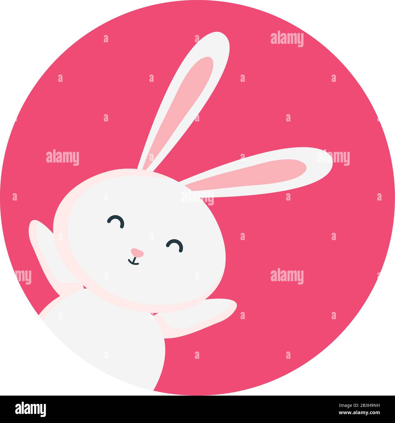 cute rabbit animal in frame circular Stock Vector Image & Art - Alamy