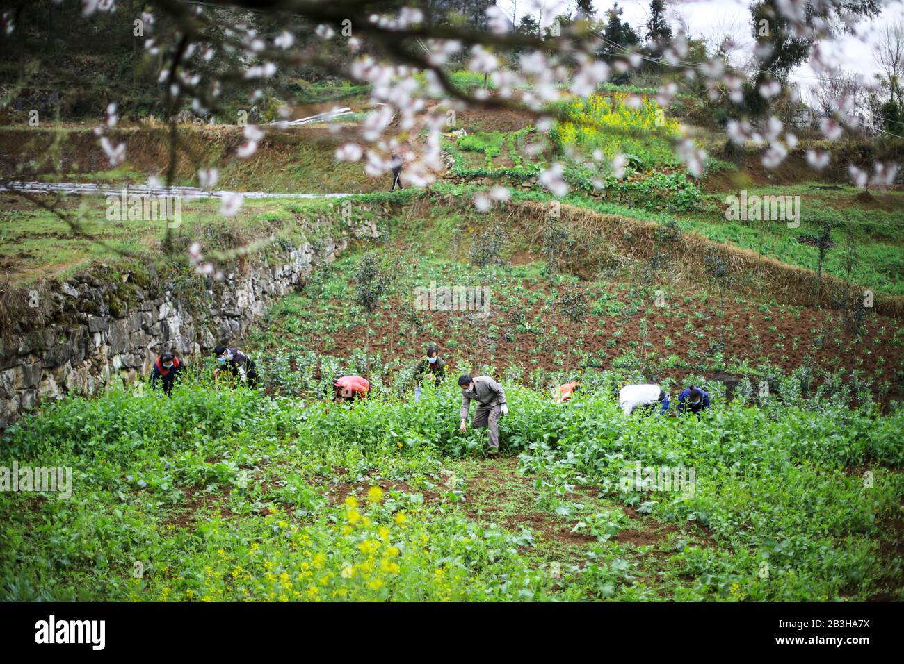 Waking of insects hi-res stock photography and images - Alamy