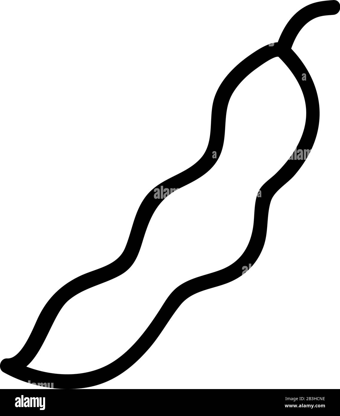 Green pea icon vector. Isolated contour symbol illustration Stock ...