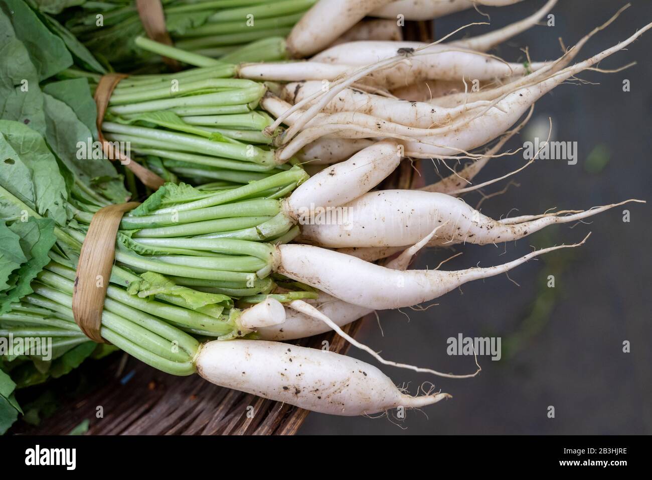 Radishes for sale at a market in Mumbai India Stock Photo - Alamy