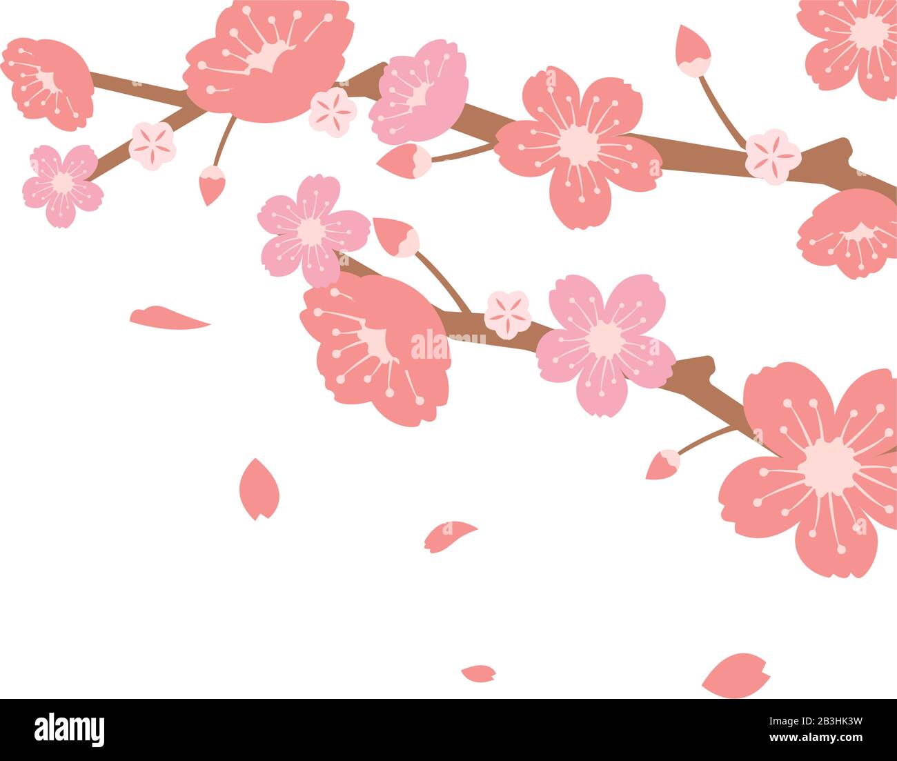 Cherry blossom branches japanese Stock Vector Images - Alamy