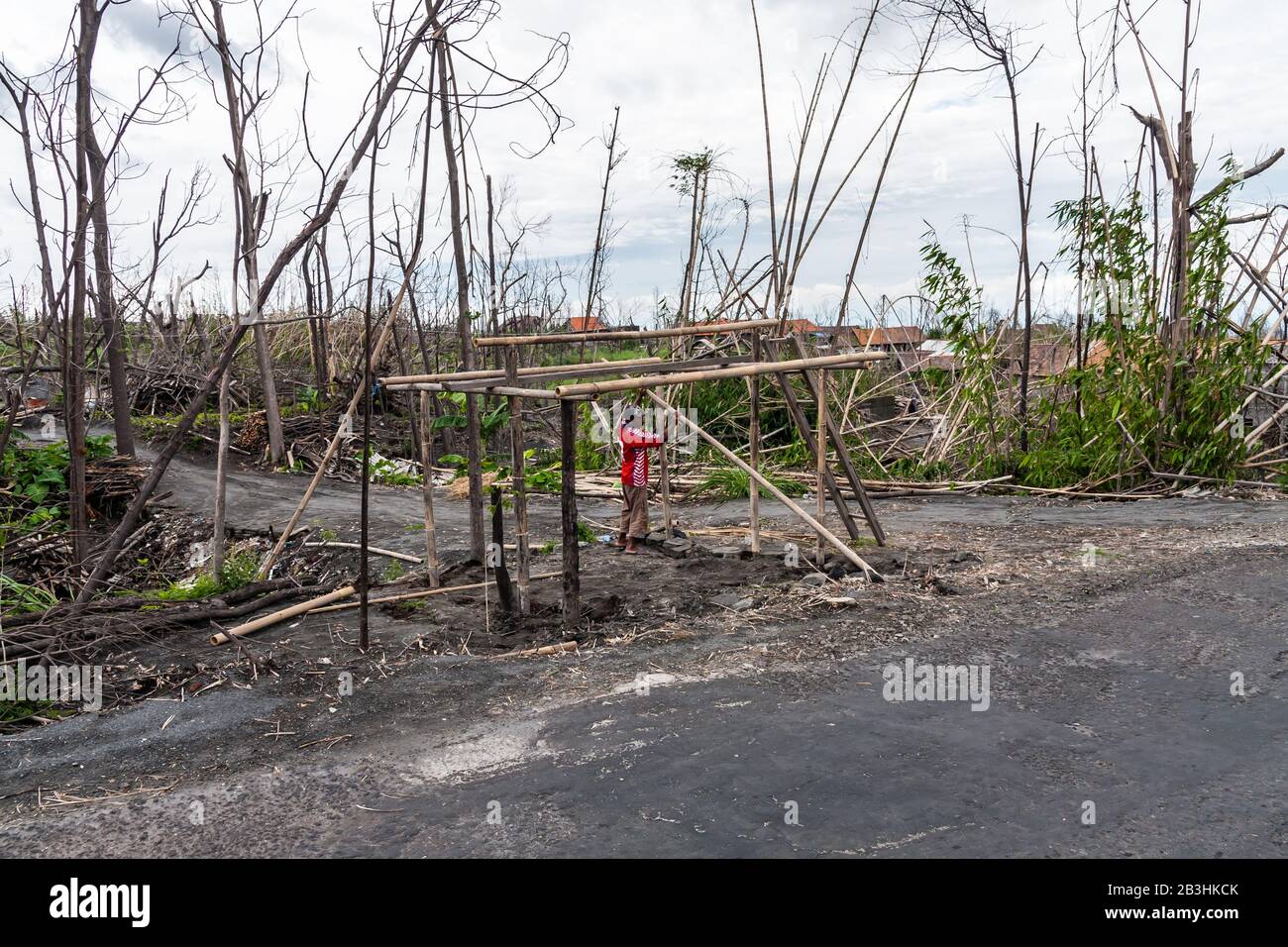 A man constructing a bamboo frame for a shelter after the Mount Merapi ...
