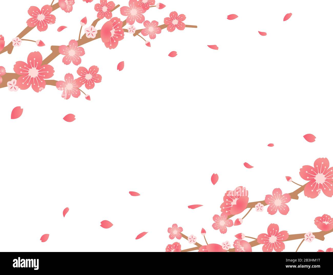 Cherry blossoms background illustration ( spring season theme Stock ...