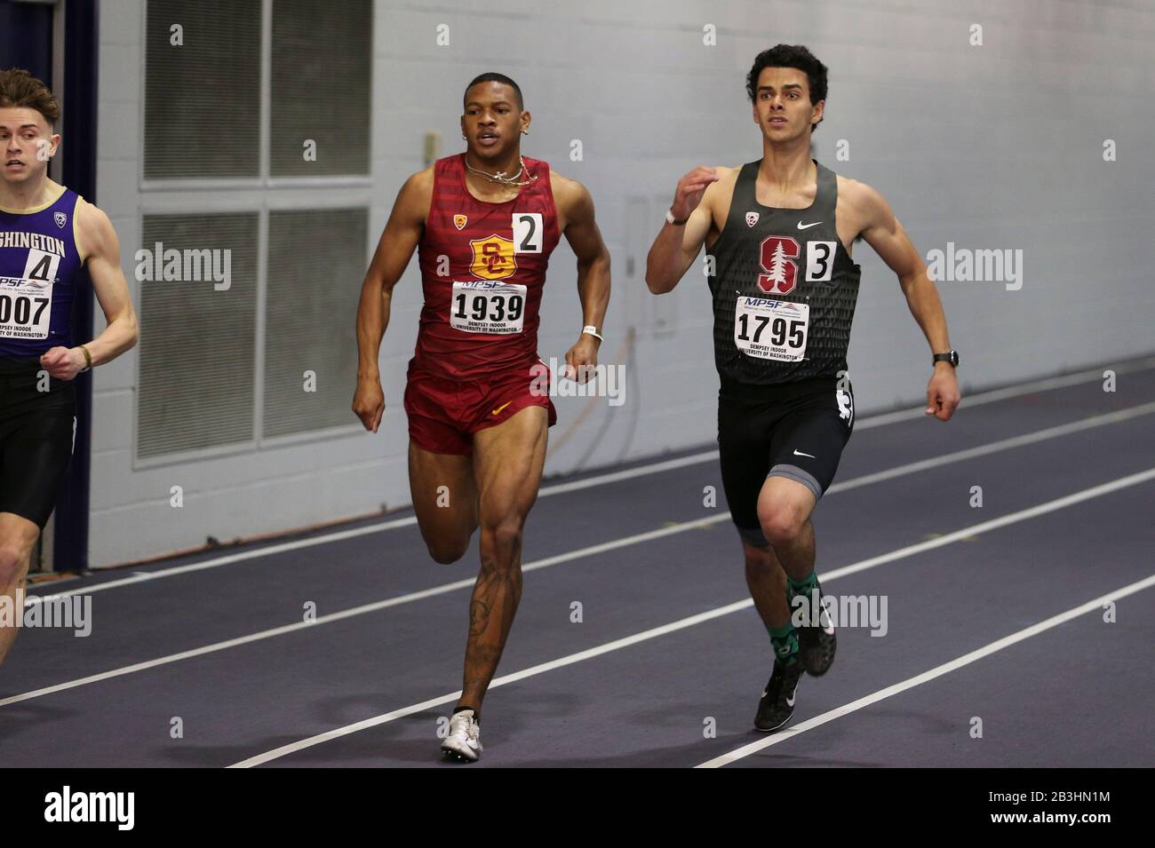 Noah green hi-res stock photography and images - Alamy