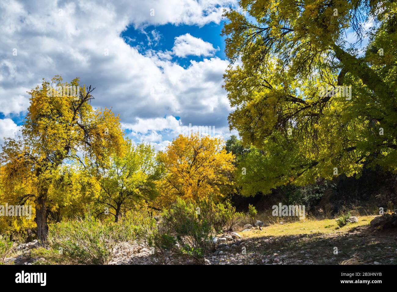 A beautiful overlooking view of nature in Benson, Arizona Stock Photo ...