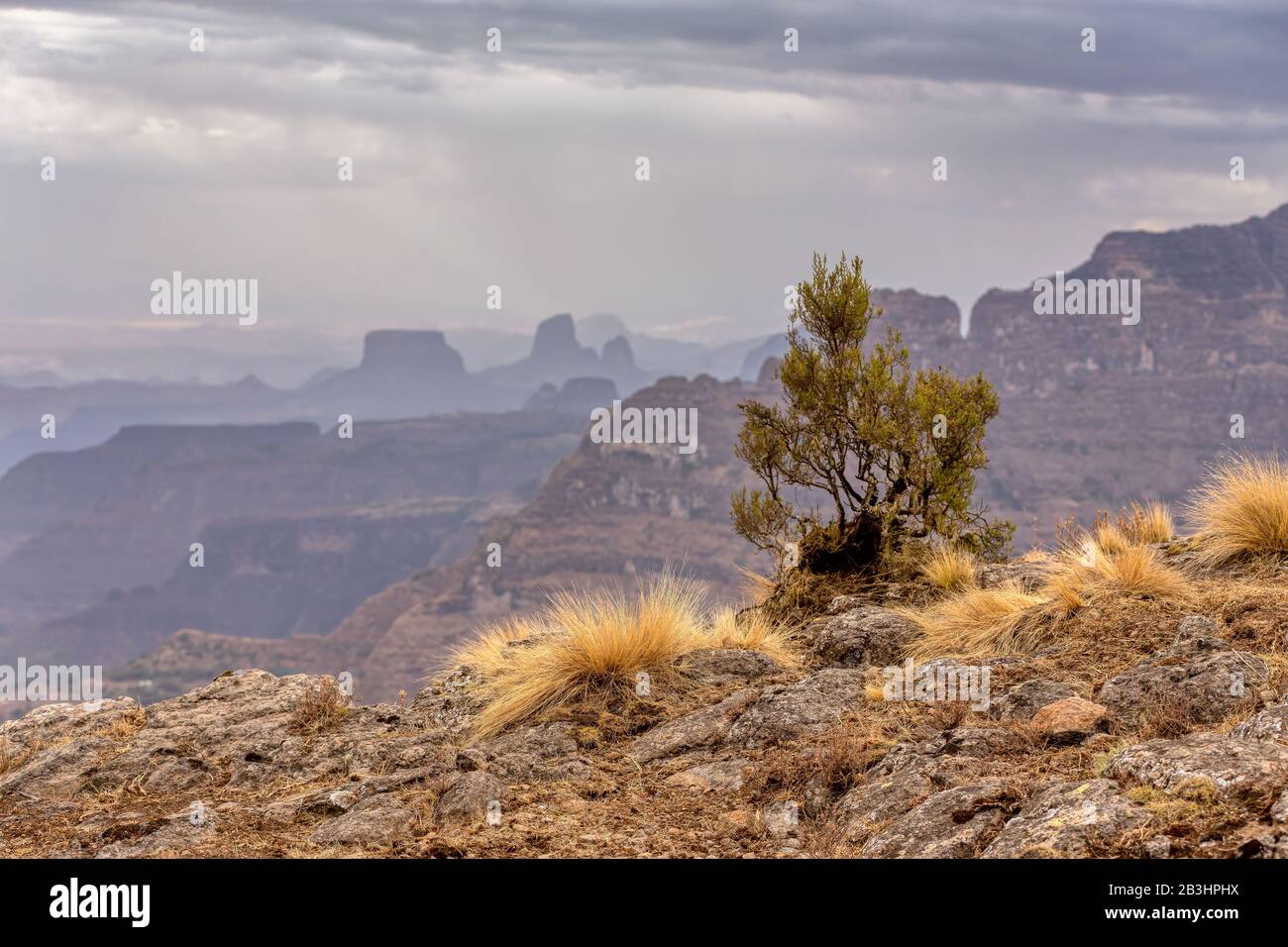 Semien mountain hi-res stock photography and images - Alamy