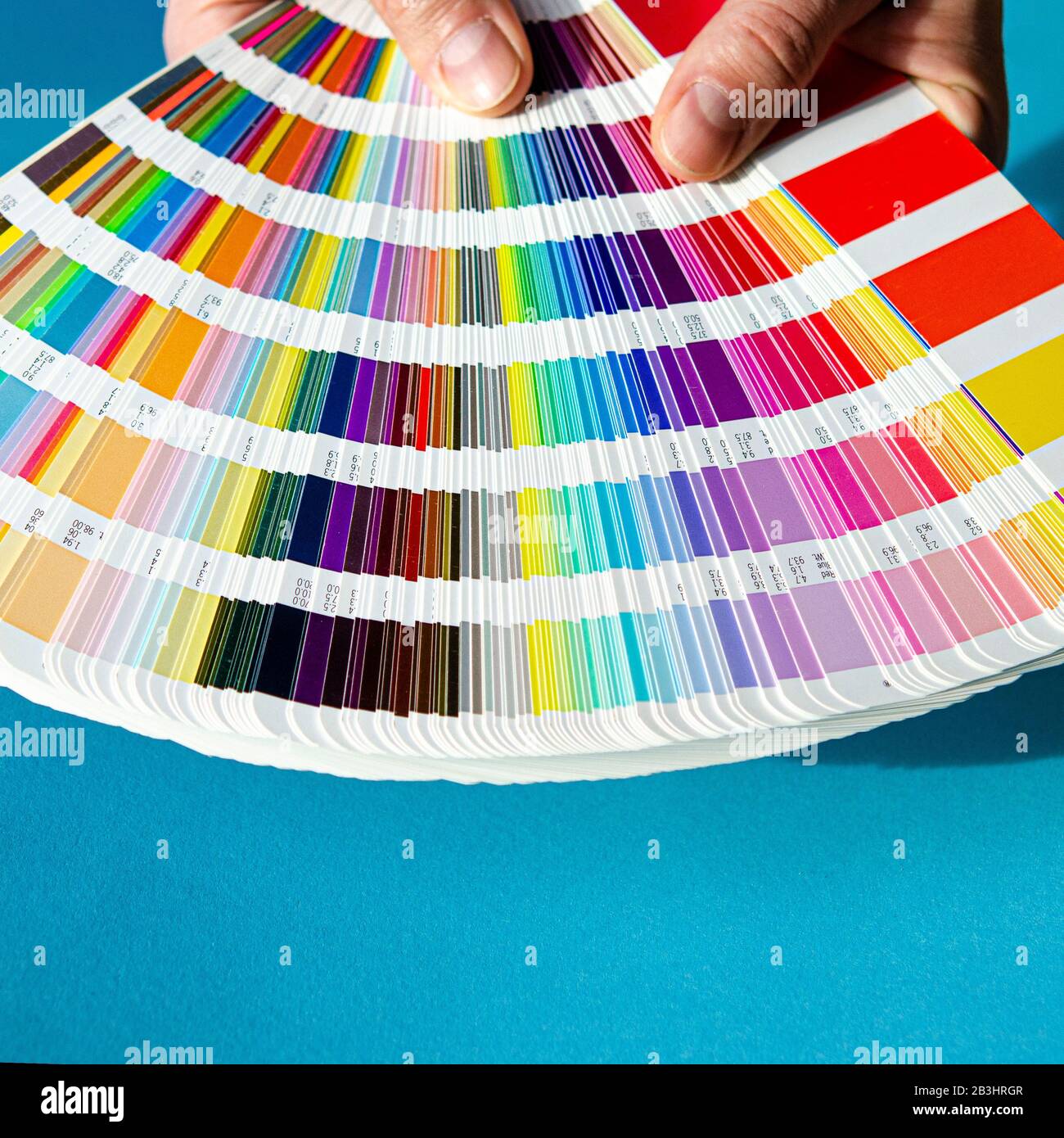 Multicolored color palette of a fixed set of colors in the hands of a ...