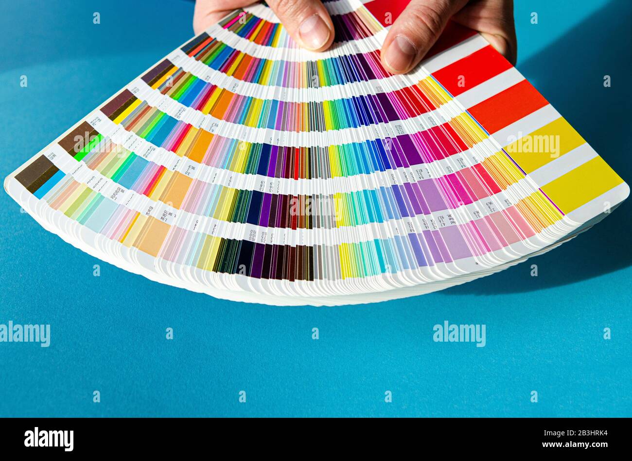 Multicolored color palette of a fixed set of colors in the hands of a ...