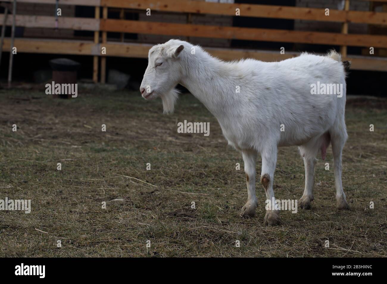 Subsidiary farming hi-res stock photography and images - Alamy