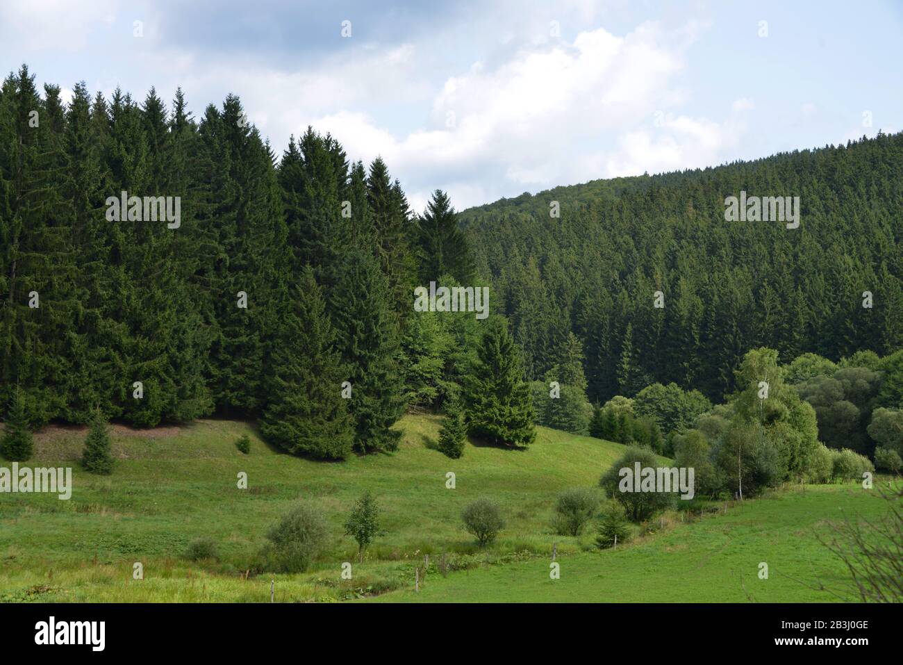 Thuringen wald hi-res stock photography and images - Alamy