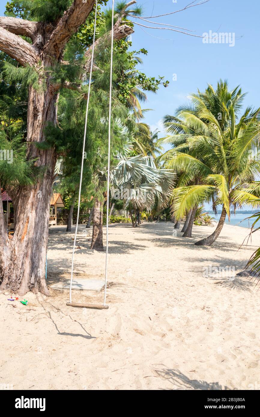 Palm swing hi-res stock photography and images - Alamy