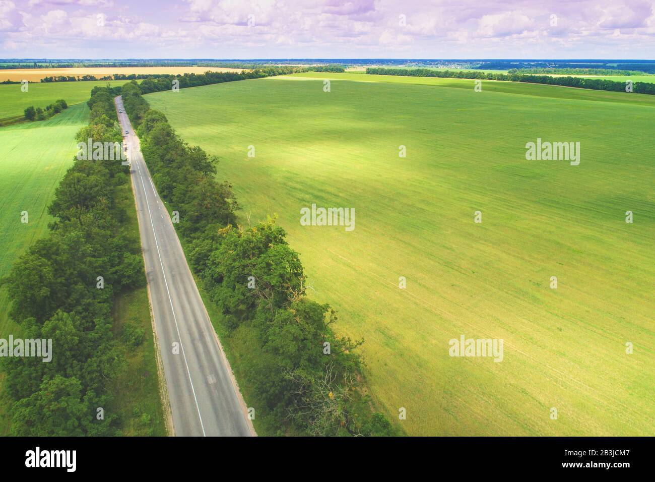 Summer rural landscape. Aerial view. View of the village, green fields ...